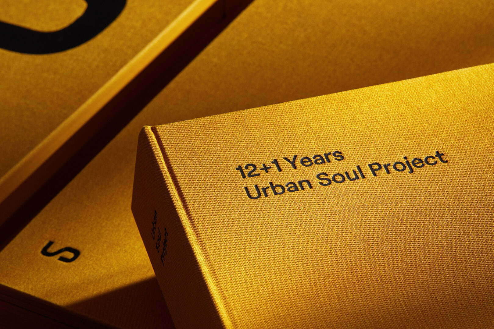Urban Soul Project Monograph - Design ← Ambassador